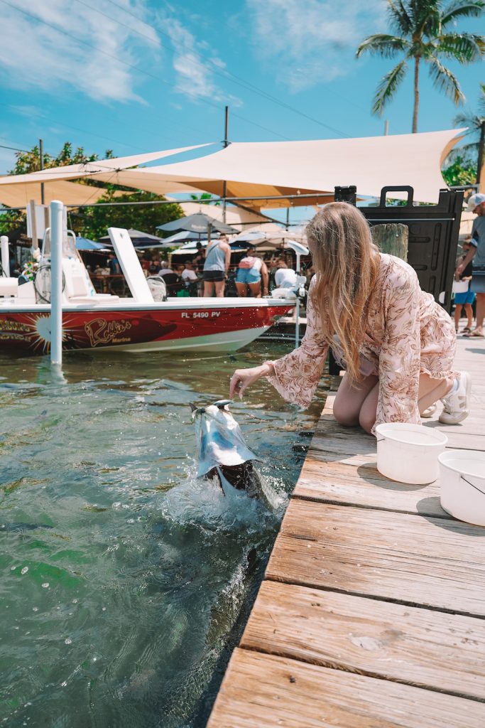 Which Florida Keys Has the Most to Do? Which Florida Keys Should I ...